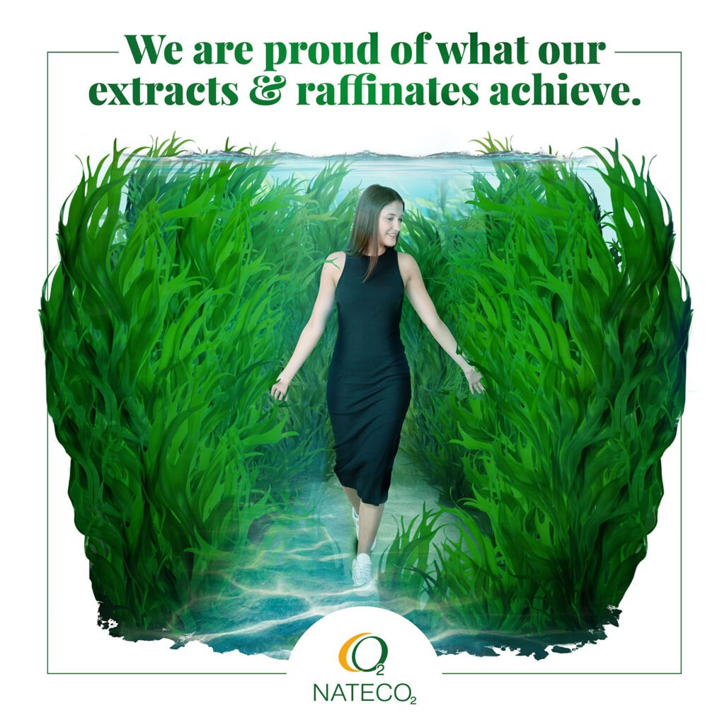 Nateco2 | Extracting the Essence of nature