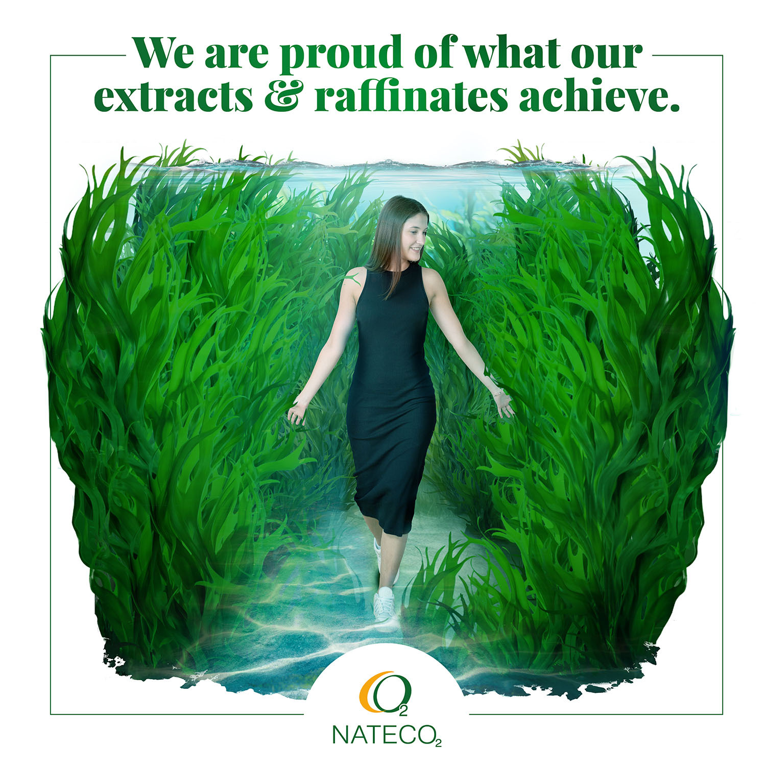 Nateco2 | Extracting the Essence of nature